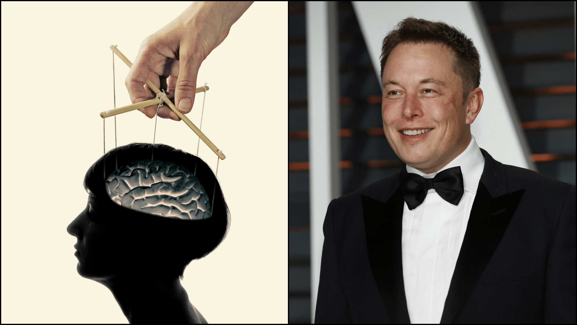 Elon Musk získal neobmedzenú moc na Twitteri – Takto môže manipulovať s ...